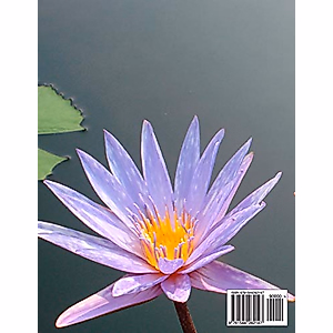 Last Wishes: A journal for all the important information your loved ones will need after your death.