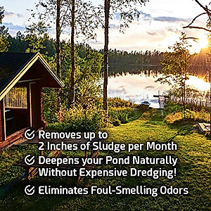 Pond Sludge Remover – 5 Pounds Beneficial Pond Bacteria & Enzyme Treatment - 100% Natural Muck Digester – Safe for All Aquatic Life and Recreation - Made in The USA