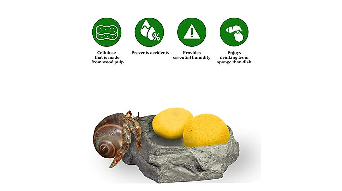 Quality Hermit Crab Sponges - 3 Pack for Optimal Humidity