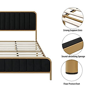 HITHOS Queen Size Bed Frame, Upholstered Bed Frame with Button Tufted Headboard, Heavy Duty Metal Mattress Foundation with Wooden Slats, Easy Assembly, No Box Spring Needed (Golden/Black, Queen)
