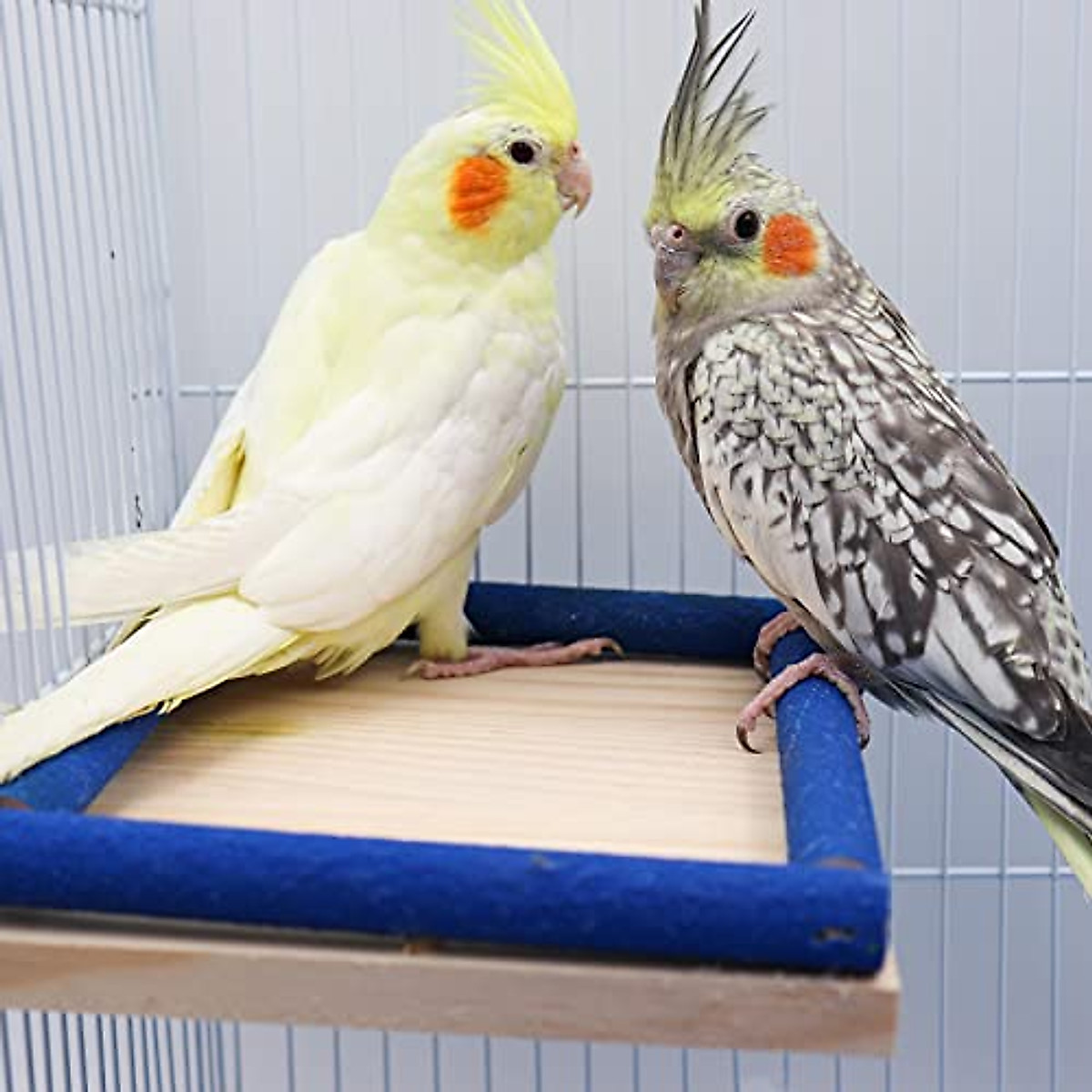 Bird Wooden Perch Stand, Bird Feeder Toy, Natural Wooden Bird Cage Accessories, Paw Grinding Standing Perch with Rough Quartz Sand Surface for Parrot, Parakeet, Budgies, Cockatiel, Rats(Blue)