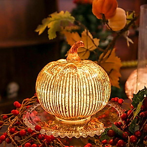 hvfun Mercury Glass Light up Pumpkin with Timer- Fall Decoration for Home-Lamps for Festive Decoration-Halloween Decorations (Gold)