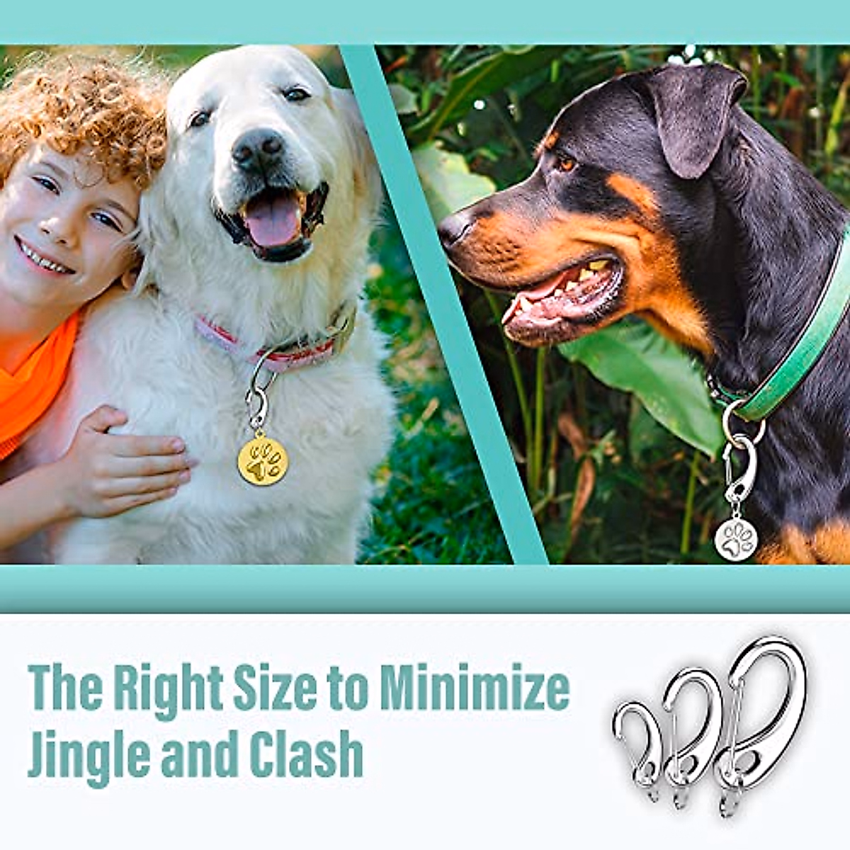 Leash King Dog Tag/Pet Tag w/Pet Tag Quick Clip Combos- 2 Pairs (4 pcs) of Standard Quick Clips - Entirely sugrical Stainless Steel