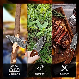 Benkey Damascus Folding Knife, Sharp VG10 Core Damascus Steel Pocket Knives with Natural Wood Handle, Quality Leather Sheath, Ball Bearing, Liner Lock, Lightweight Pocket Knife for EDC Men Women