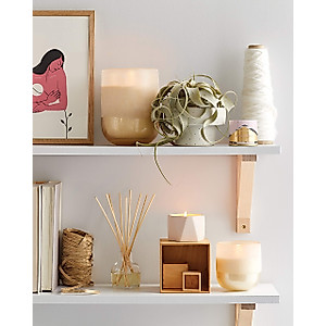 ILLUME Coconut Milk Mango Soy Candle, Demi Vanity Tin, Pink, 3 oz.