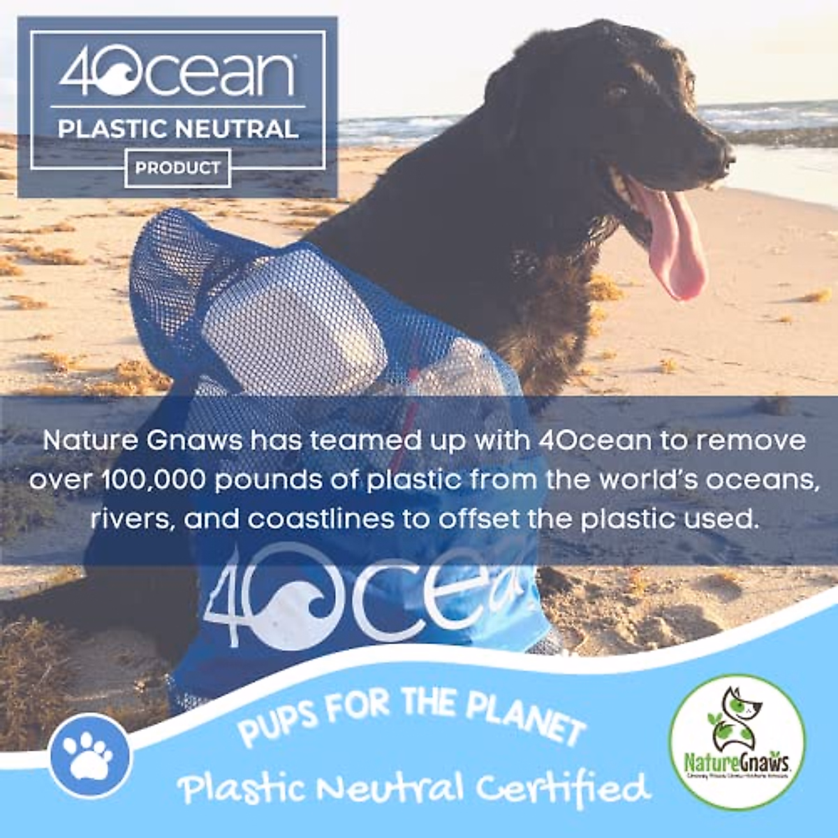 Nature Gnaws Elk Antlers for Large Dogs - Premium Natural USA Antler - Long Lasting Dog Bones for Aggressive Chewers - Mix of Split and Whole - 5-8 Inch