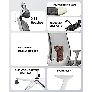 Dripex Mesh Office Chair for Home, Ergonomic Desk Chair with Arms/Lumbar Support/Mesh Back/Adjustable Headrest & Height/Wheels, Computer Chairs Tilt Reclining Swivel Rolling Chair, Grey