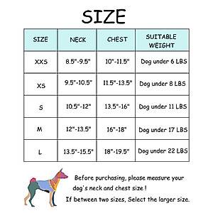 Petank Dog Harness for Small Medium Dogs No Pull, Puppy Harness and Leash Set, Easy Walk Dog Harness for Walking, Running, Training, Small Dog Harness, Medium Dog Harness (Green, S)