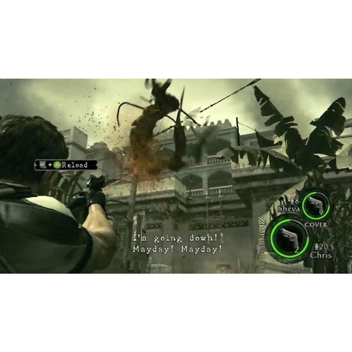 Resident Evil 5 - Playstation 3