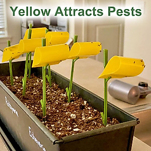 ALLRoad 84 Pcs Yellow Sticky Houseplant Traps Gnat Flying Insect Trap Indoor Fruit Fly Stakes Trap