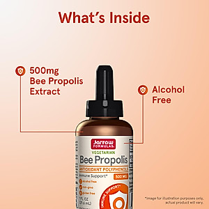 Jarrow Formulas Bee Propolis 500 mg - 1 fl oz - Alcohol-Free Liquid Extract - Immune Support Antioxidant Supplement - Immune Support - Approximately 30 Servings