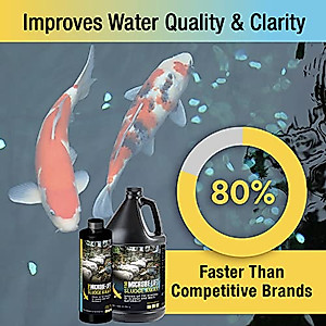 MICROBE-LIFT MLXSAG6 Sludge-Away Pond and Outdoor Water Garden Sludge and Muck Remover, Safe for Live Koi Fish, Plant Life, and Decor, 1 Gallon