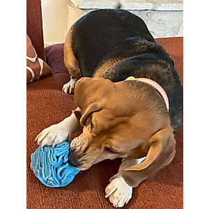 Glory To Dog Puppy and Small Breed Snuffle Interactive Foraging Dog Puzzle Ball Toy Blue