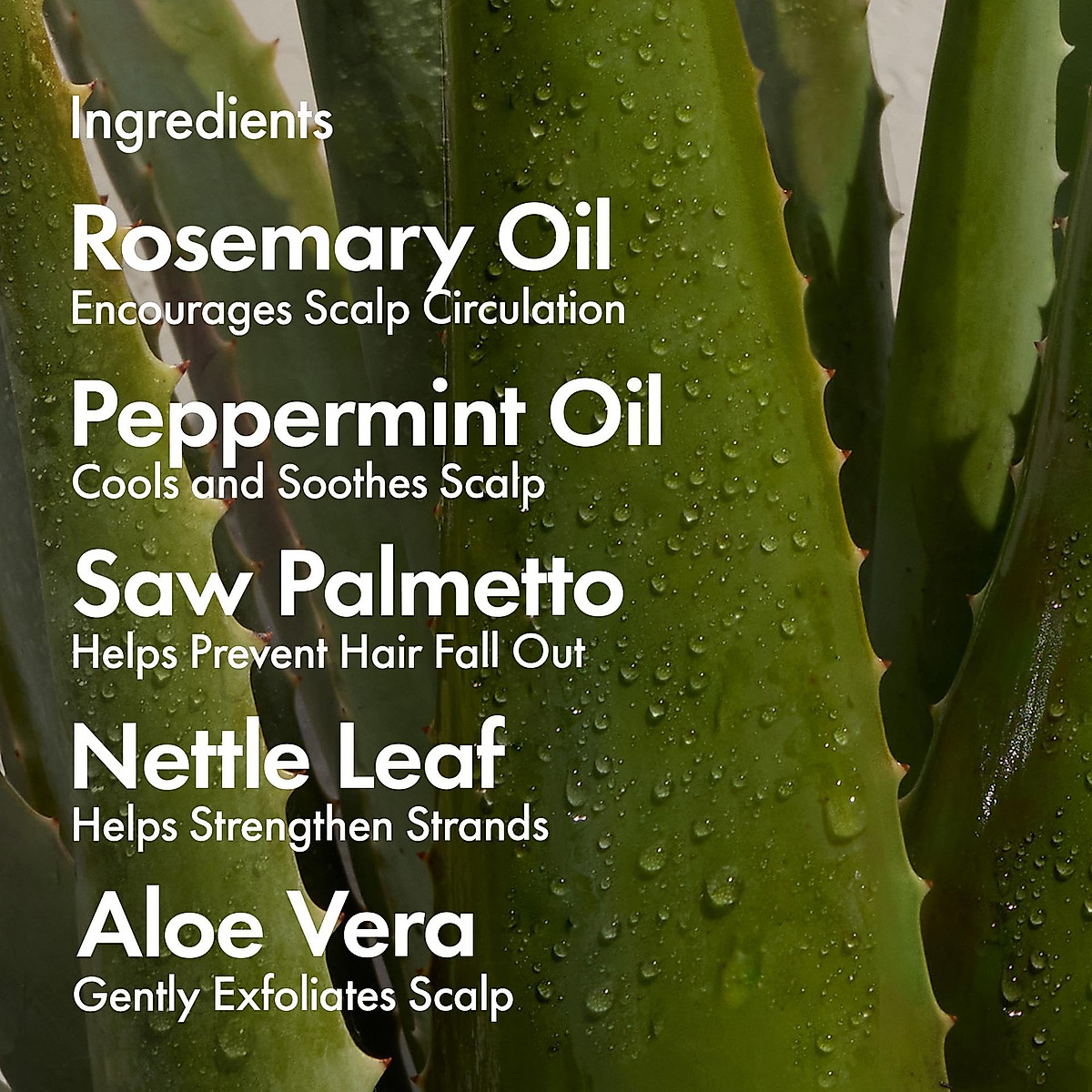 BONDIBOOST Miracle Mask 8.45 fl oz - Deep Conditioner Hair Mask for Thinning Hair Types - Promotes Thicker, Healthier, + Fuller Hair - Repair Dry Damaged Hair - Vegan + Cruelty-Free - Australian Made