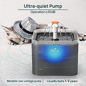 iPettie Neverland Cat Water Fountain with LED Light, 67oz/2.0L, Ultra Quiet Cat Drinking Fountain with Filter, Automatic Pet Water Fountain, Cat Fountain for Cats and Small Dogs, Grey