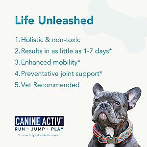 CANINE ACTIV Dog Joint Pain Relief Activity-Induced Capsules, Dog Joint Supplement Small Breed, Hip and Joint Supplement for Dogs, Dog Joint Pills for Fast Relief from Activity-Induced Pain - 90 Ct