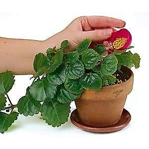 Orchid Nerd ® Osmocote Classic Flower and Vegetable Smart-Release Plant Food, 15 oz (14-14-14 Plant Fertilizer)