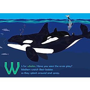 S is for Seattle (Alphabet Cities)