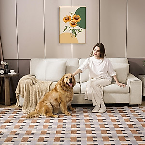 DOPEDIO Modern Living Room Chenille Recliner Sofa Small Sofa,loveseat Sofa,Removable Sofa Cover Space Spring Cushions and Solid Wood Frame, Easy to Install (71.25inch，Beige)