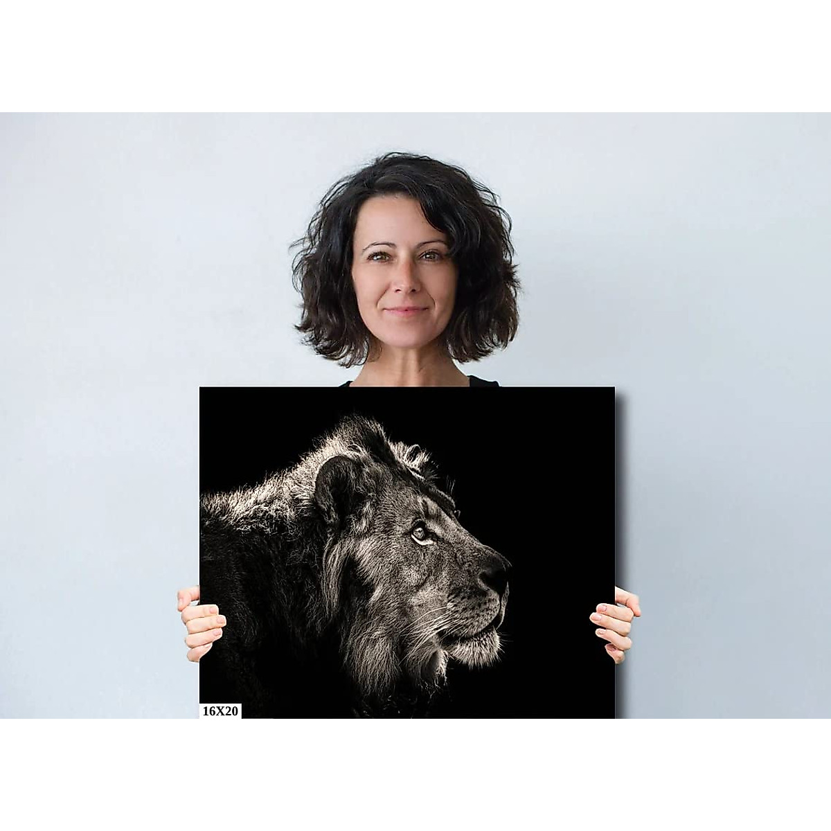 Lion (Panthera leo) - Print/Canvas/Acrylic/Metal (Print Only, 11x14 Inches)