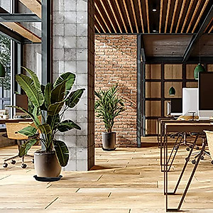 Lechay Black Plant Saucer for Indoors,3 Pack 12inch Plastic Flower Plant Pot Saucer, Plastic Plant Saucer Drip Trays for Indoor and Outdoor Plants(3)