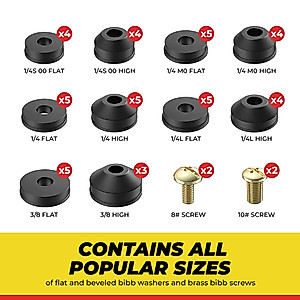 Flat and Beveled Faucet Washers and Brass Bibb Screws Assortment, 48 Pieces