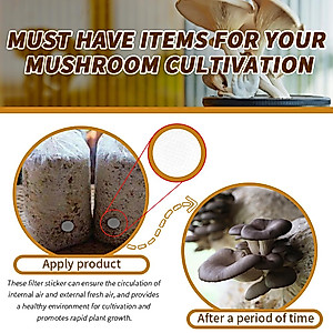 Synthetic Filter Paper Stickers 20 mm PTFE Filter Disc 0.3 μm Filter Paper for Mushroom Cultivation Wide Mouth Jar Lids(120 Pieces)