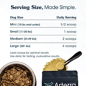 All-in-One Dog Supplement for Advanced Wellness & Longevity, 63 Premium Ingredients for Aging Support, Hip & Joint, Cognition & Mood, Gut and Organs, Vet-Formulated, Senior Formula 8+ Yrs, 38.3 oz