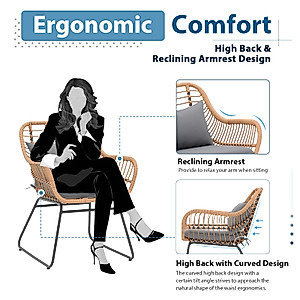 JOIVI Patio Chairs Set of 2, Outdoor Wicker Chairs with Heavy-Duty Iron Frame, All-Weather Easy-to-Clean PE Wicker, Patio Rattan Dining Chairs for Outside Lawn, Garden, Poolside, Backyard, Porch, Gray