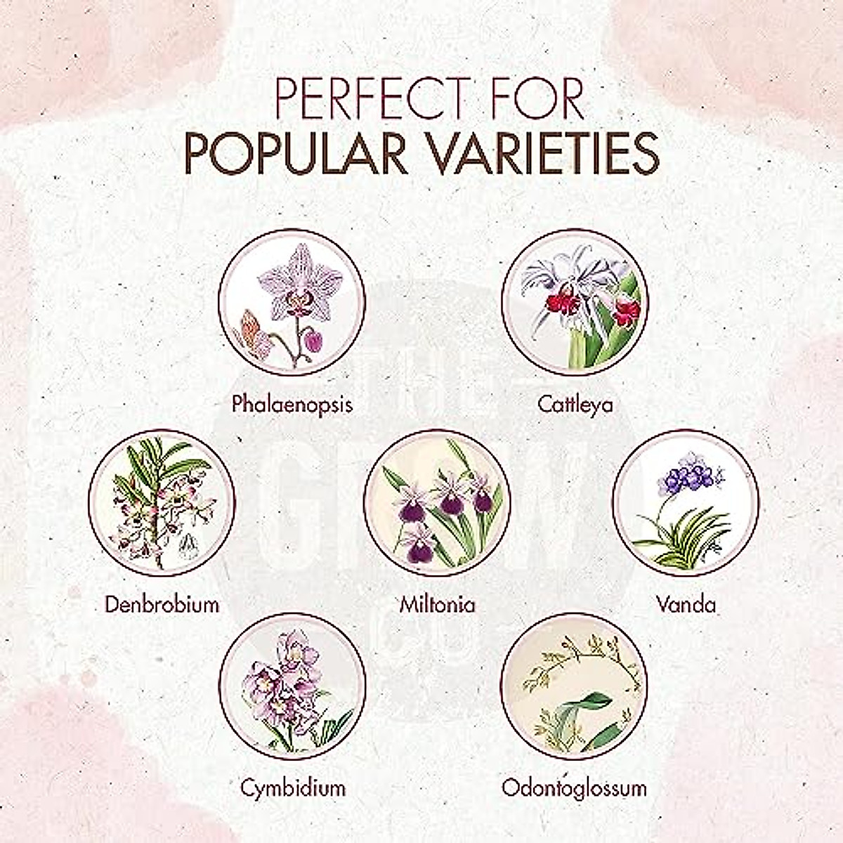 Organic Ready to Spray Orchid Food Mist - Bloom Booster Fertilizer for Orchids in Pots - Plant Nutrients for Healthy Flower & Reblooms (8 oz)