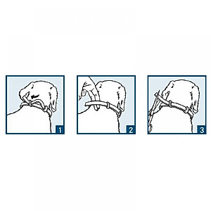 KAYNO Purple Cat Calming Collars Adjustable Cat Pheromones Calming Collars with 1 Bells Reducing Anxiety for Pets Suitable Cat Relaxants for Small Medium and Large Cats (15 Inches)