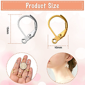 TOAOB 200pcs French Earring Hooks Leverback Ear Wire 10x15mm Silver and Gold Plated Metal Brass Hypoallergenic Earring Supplies Jewelry Making Findings