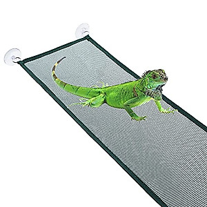 DQITJ 2 Pcs Reptile Hammock Chameleon with Suction Cup Snake Accessories Geckos Swing Climbing Net (Black and Green)
