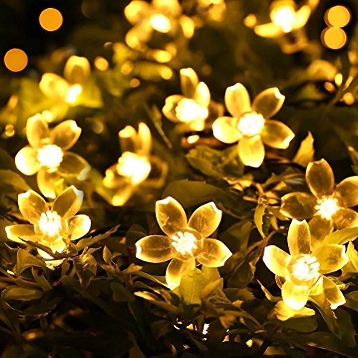Fairy Lights Christmas Decorative Flower String Lights 33 Feet 100 LEDs, 8 Flash Modes with Tail Plug Connectable Cherry Flower Decorations Novelty Light for Party, Patio, Wedding, Home and Garden