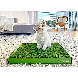 DoggieLawn Real Grass Puppy Pee Pads- 24 x 20 Inches - Perfect Indoor Litter Box for Dogs - No Mess, Easy-to-Use - Potty Training for Pets - Eco-Friendly Disposable Bathroom with Real Living Grass