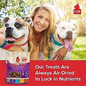 PLATO Pet Treats Small Bites - Air-Dried Training Treats for Dogs - Supports Healthy Digestion - Limited Ingredients - Lamb 2.5oz
