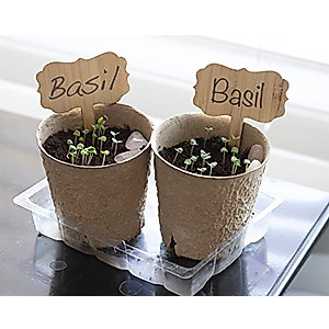 DesertUSA Heirloom Organic Genovese Basil Garden Grow Kit in Gift Box, Non-GMO Herb Seeds, Instructions, Bamboo Plant Labels, 2 Pots, Rose Quartz
