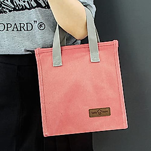 Lunch Bag Insulated, Lunch Box Bag, Reusable Lunch Tote Bag, Lunch Box Container Bag Insulated for Women, Men, Work, Office, Travel - Pink