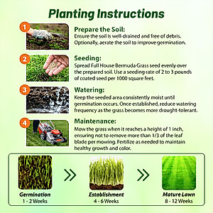 Outsidepride Full House Bermuda Grass Seed Mix - 2 lbs. Premium Warm Season Turf Blend of Traffic & Drought-Tolerant Monaco & Hollywood Bermuda Grass Seeds for Lawn, Golf Courses & Fairways