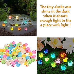 Cidinge 60 Pcs Mini Resin Ducks Luminous Tiny Ducks Miniature Duck Glow in The Dark for DIY Garden Dollhouse Duck Accessories Micro Landscape Aquarium Party Decor