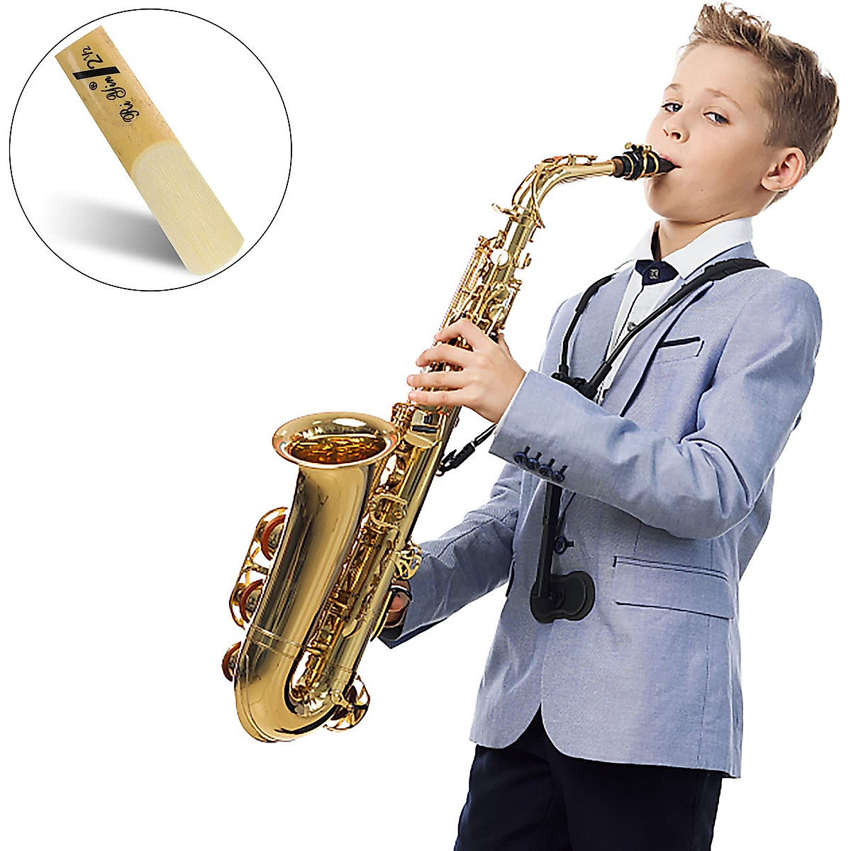 30 PCS Saxophone Reed Size Sax Reeds 2.5 Alto 2 1/2 Saxophone Reeds Alto Saxophone Reeds for Saxophone Alto Soprano Saxophone Reeds with Individual Case for Clarinet Soprano or Alto Sax