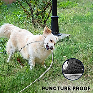 Morvat Heavy Duty 10 Foot Stainless Steel Garden Hose with All Brass Shut-Off Valve, Kink and Tangle Free, Crush and Puncture Resistant, Includes Roll of Teflon Tape and Extra Washers