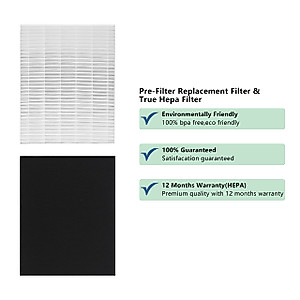 D480 True HEPA Replacement Filter D4, Compatible with D480 Air Purifier, Compare to D4 Filter, 2 H13 Grade True HEPA and 8 Activated Carbon Filters, Item Number 1712-0100-00