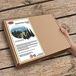 S0804 40pcs Dark Green Pine Model Cedar Trees 2.05-4.96 inch (52-126 mm) for Model Railroad Scenery Landscape Layout HO OO Scale New