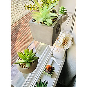 Elegant and Sophisticated Floating Window Shelf (21", Single Shelf) - Crystal Clear Recessed Durable Strong Acrylic Trinket, Plants, Succulents Indoor Collection Display Stand Trendy Modern Boho Chic