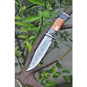 UK UNIQUE SHARP KNIVES BK-3002 Handmade Damascus Steel 12.50 Inches Hunting Knife - Exotic Coloured Bone Handle