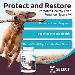 K9 Select Milk Thistle for Dogs, 100mg - 60 Beef Flavored Tablets - Canine Liver Health Natural Milk Thistle Supplement - Liver Supplement - Liver Support Supplement - Milk Thistle Herbal Supplements