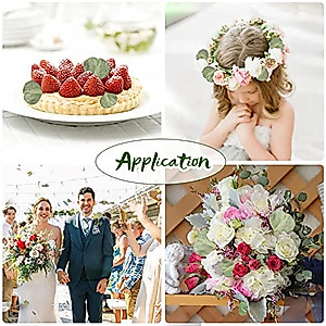 400+ Dried Real Eucalyptus Leaves, 100% Natural Bulk Silver Dollar Eucalyptus Leaves, Wedding Confetti, Biodegradable Confetti for DIY Bouquet, Garden Cake, Party and Table Center Decor