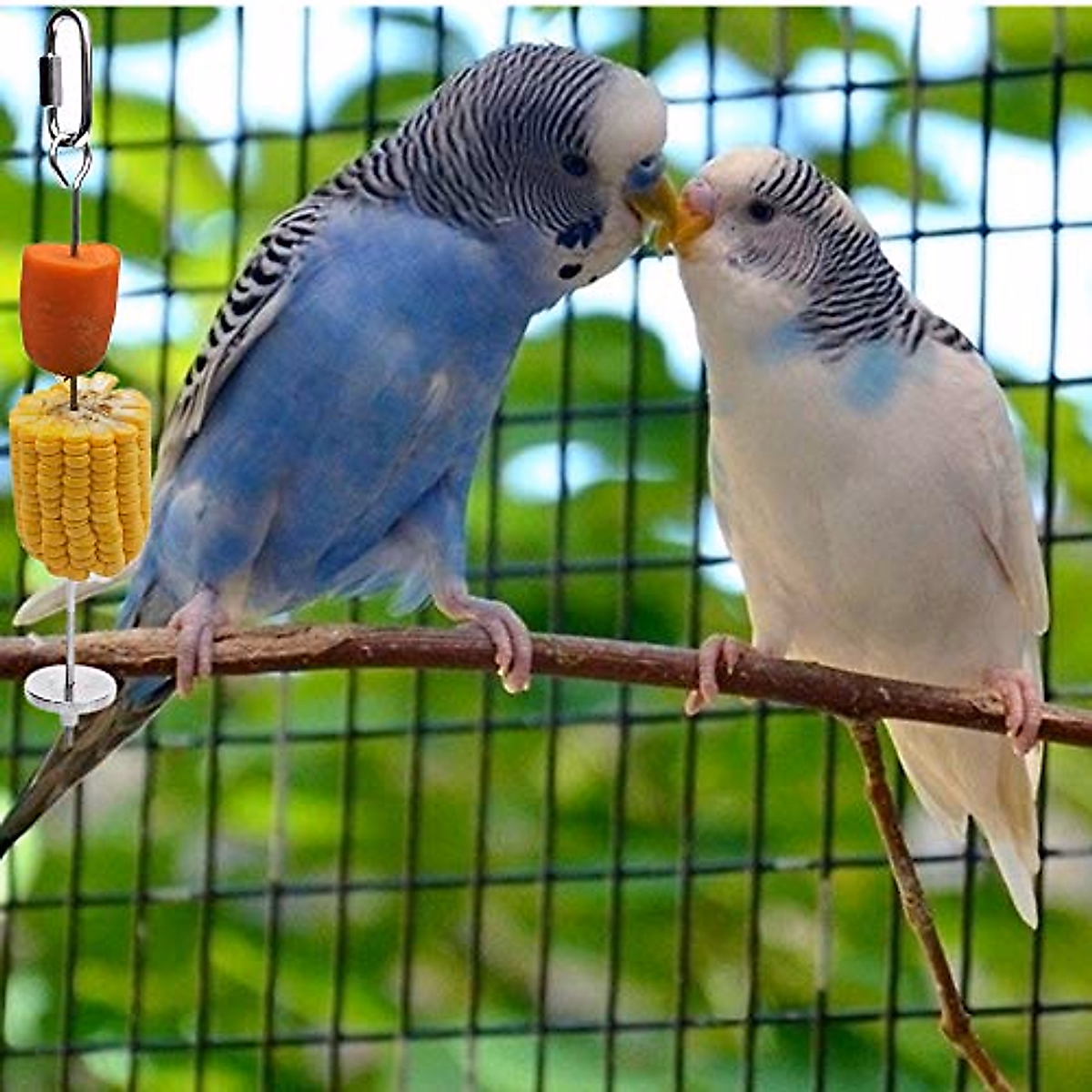 alfyng 5 PCS Bird Food Holder Set, 2pc Parrot Hanging Cage Vegetable Fruit Feeder and Clips, 1pc Bird Stand Perch, Stainless Steel Bird Treat Skewer Parrot Foraging Toy, Animal Feeding Treating Tool