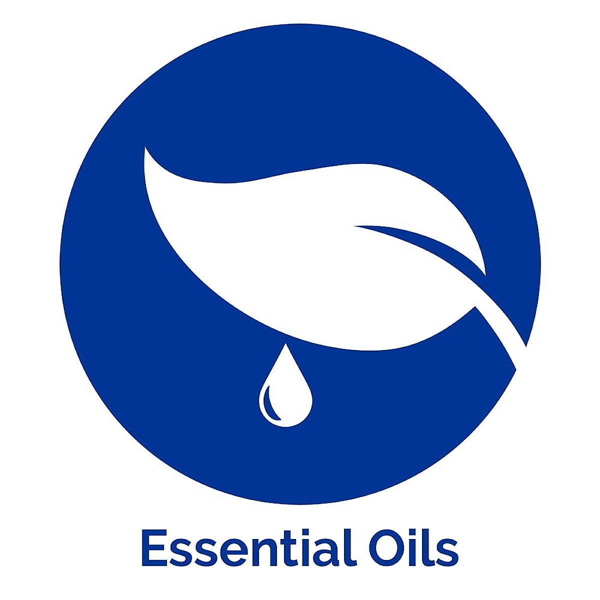 LATHER Bamboo Lemongrass Conditioner - Lightweight & Non-Greasy Crème Rinse Formula - Gentle Daily Hair Detangler Conditioner for All Hair Types - Sulfate Free - 8 Fl Oz Bottles (Pack Of 2)